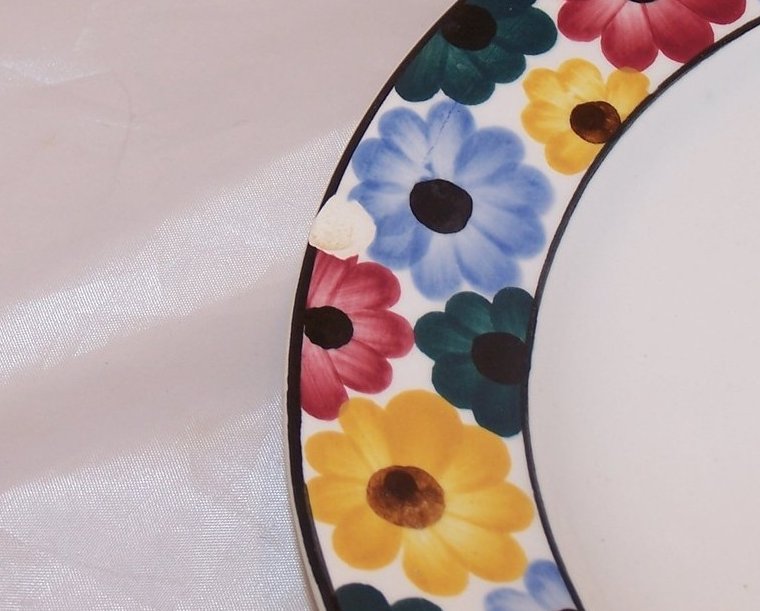 Ges Gesch Multicolor Flower Border Plates, Vintage Germany