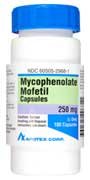 Mycophenolate Mofetil 250 mg Capsules 1X100 Mfg. By Apotex Corp