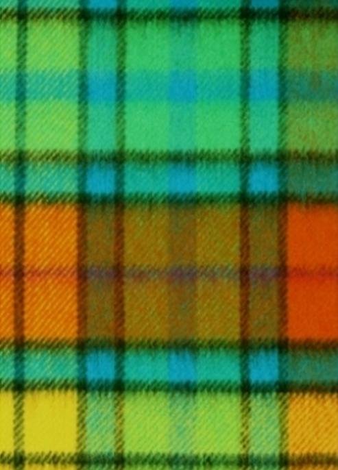 Buchanan Bright Tartan Cashmere Fringed Scarf