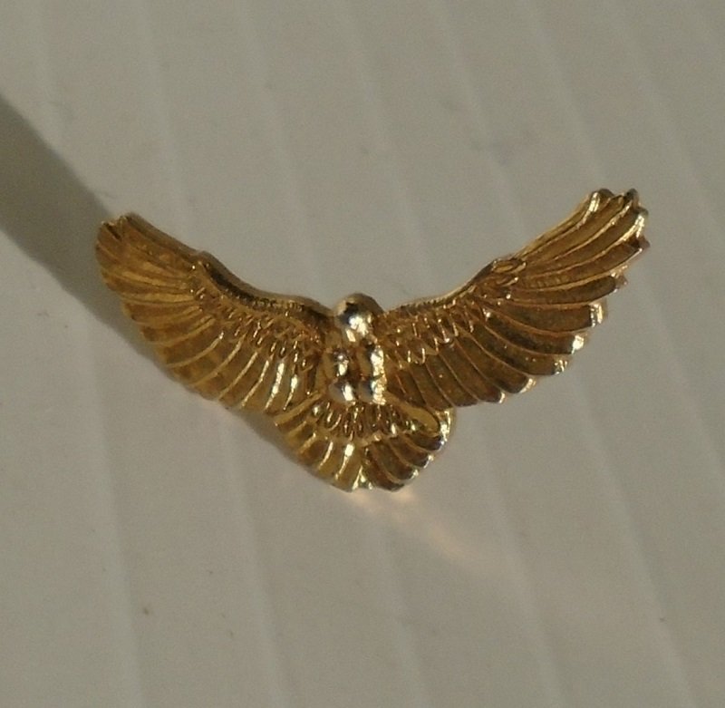 American Eagle Lapel Pin, Possibly Military, Gold Tone