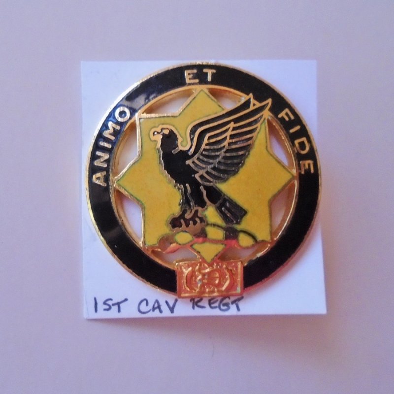 1st Cavalry Regt Animo Et Fide Insignia Pin Possibly Vietnam