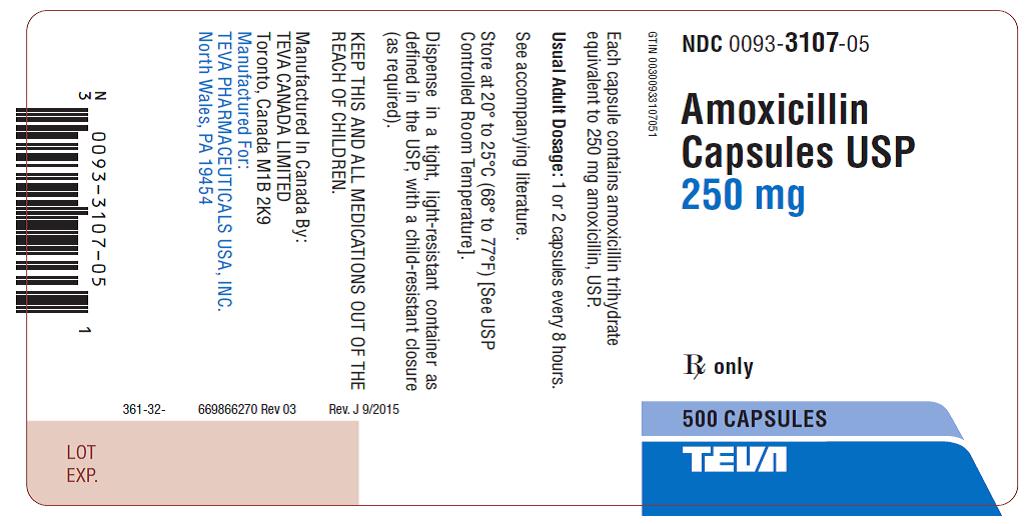 Rx Item-Amoxicillin 250Mg Cap 500 By Teva Pharma Gen Amoxil
