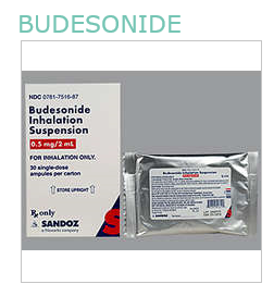 Rx Item-Budesonide 0.5mg 2ml Res 30X2ml by Sandoz Pharma