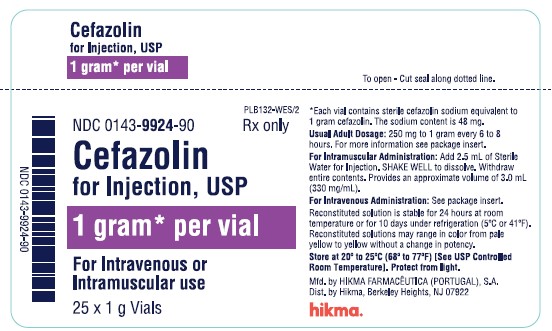 Rx Item-Cefazolin 1 gm Vial One By Hikma (Westward) Pharma Gen Ancef Kefzol