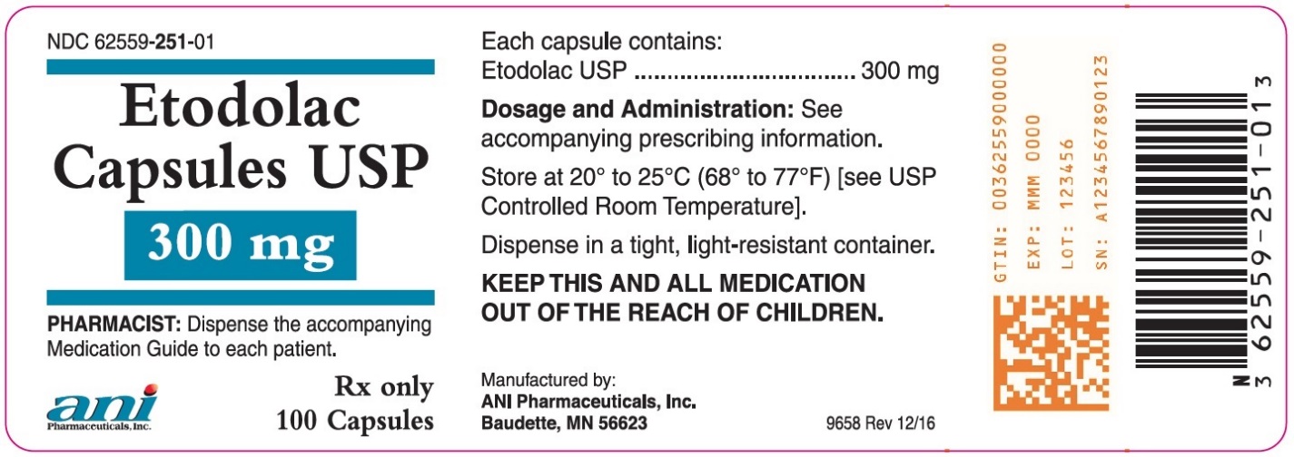 Rx Item-Etodolac 300Mg Cap 100 By Ani Pharma Gen Lodine