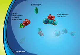 RX ITEM-Istodax 10Mg/2Ml Vial 1 By Celgene