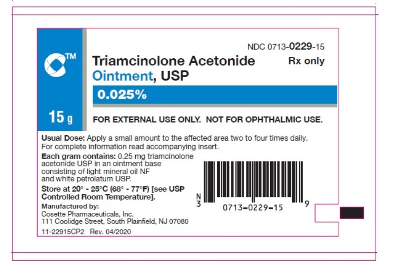 Rx Item-Triamcinolone 0.025% Ont 15Gm By Cosette Gen Kenalog