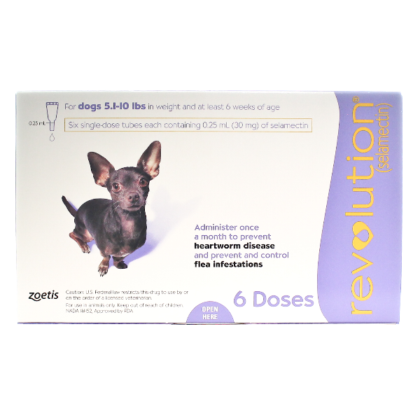 Revolution Dog 5.1-10 6# 6 Dose Sl By Pfizer Pet Rx(Vet)