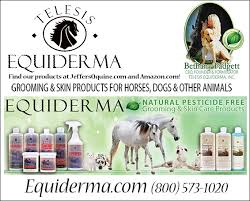 Equiderma Zinc Paste 16 oz Each By Telesis (Equiderma)