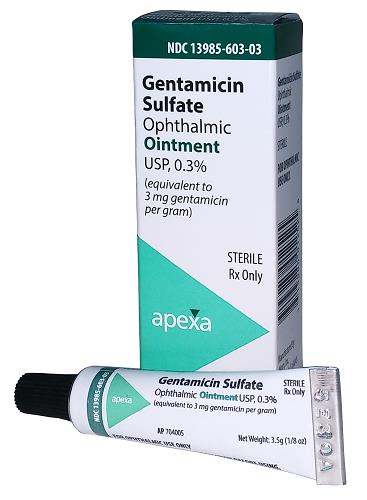 Gentamicin Ophthalmic Ointment 0.3% 3.5gm By Apexa(Vet)
