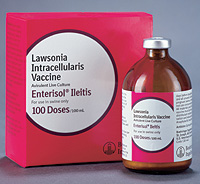 Enterisol Ileitis Lawsonia Intracellularis Vaccine, Avirulent Live ...