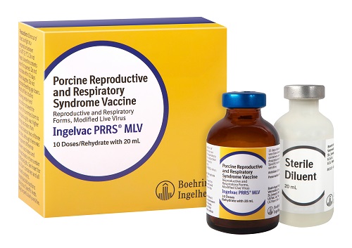 Ingelvac Prrs ml v 10Ds By Boehringer Ingelheim Vetmedica