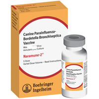 Naramune 2 Intranasal B25 By Boehringer Ingelheim Vetmedica