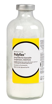 Polyflex 25gm - Sold By The Each -- Case Quantity = 12 On Allocation ...