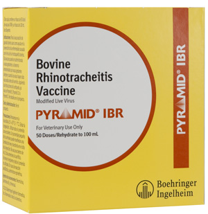 Pyramid Ibr 50Ds By Boehringer Ingelheim Vetmedica