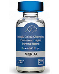 Recombitek 4 Lepto Merial Account Required B50 By Boehringer Ingelheim Vetm