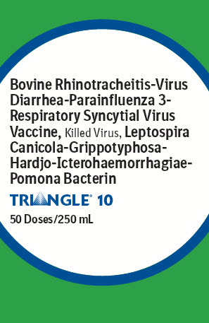 Triangle 10 Hb 50Ds By Boehringer Ingelheim Vetmedica