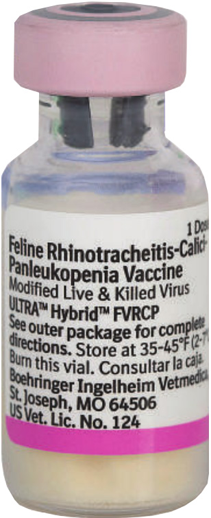 Ultra Hybrid Fvrcp B25 By Boehringer Ingelheim Vetmedica