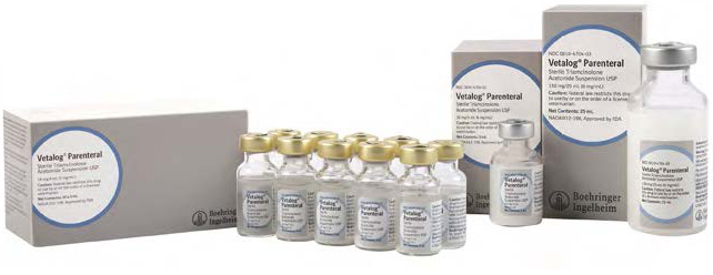 Rx Item-Vetalog Inj (Triamcinolone Acetonide) 2mg 25cc By Boehringer ...