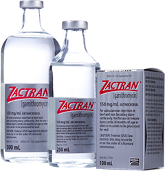 Zactran Injectable Solution 150mg 100cc By Boehringer Ingelheim Vetmedica