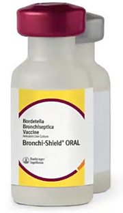 Bronchi-Shield Oral B25 By Elanco(Vet)