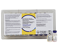 Duramune Max 5-Cvk/4L The Puppyshot Booster B25 By Elanco(Vet)