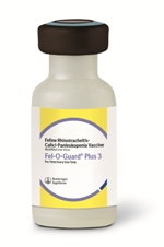 Fel-O-Guard Plus 3 + Lv-K B25 By Elanco(Vet)