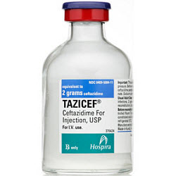 Tazicef [Ceftazidime] Inj 2gm By Hospira