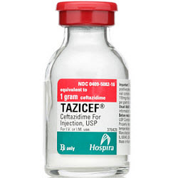 Tazicef [Ceftazidime] Inj 25x 1gm By Hospira