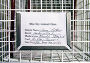 Cage Card Holder Stainless Steel 3 X5 Each By Jorgensen(Vet)