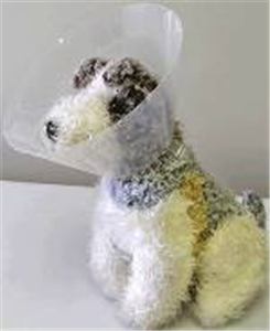 Elizabethan Buster Clic Collar 15cm Each By Jorgensen(Vet)