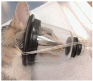 Endotracheal Tube EZ Tie P3 By Jorgensen(Vet)