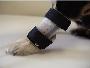 IV Catheter Guard - Large (40-80Lbs) Special Order: 2-3 weeks