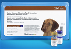 Nobivac Canine 1-Dappv+Cv [25 X1-Dose] B25 By Merck Animal Health