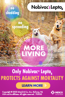 Nobivac Lepto4 B25 By Merck Animal Health