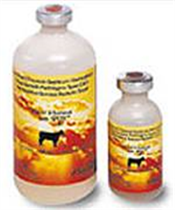 Vision 8 Somnus With Spur 50Ds By Merck Animal Health