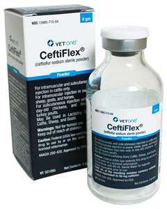 Ceftiflex 4gm Rx H2O Not luded 4gm By Vet One