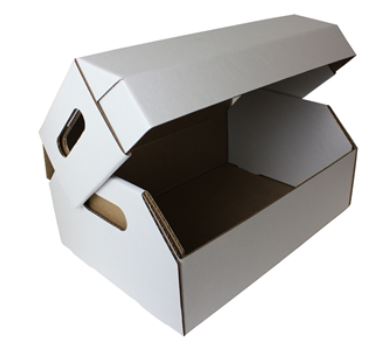 Pet Burial Box Large [Dogs Up To 75#] P5 By Vet One