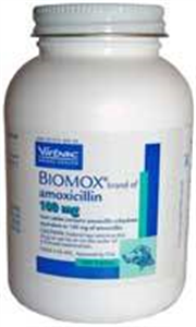 AmericanPharmaWholesale: Virbac