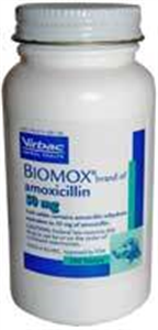 AmericanPharmaWholesale: Virbac