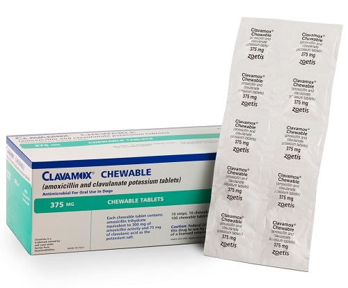 Clavamox Chew Tabs 375mg B100 By Zoetis