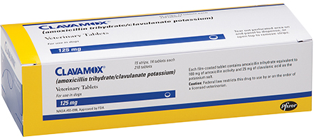 What Is Clavamox Used For Dogs