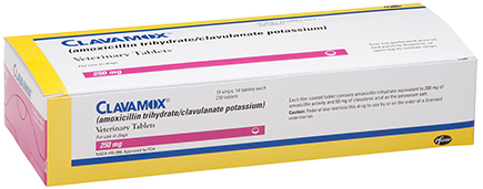 Clavamox Tabs 250mg B210 By Zoetis