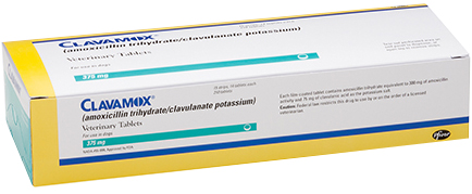 Clavamox Tabs 375mg B210 By Zoetis