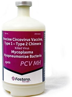 Fostera Pcv Mh 250Ds By Zoetis