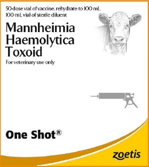One Shot (Pasteurella Haemolytica Bacterin Toxoid) 50Ds By Zoetis