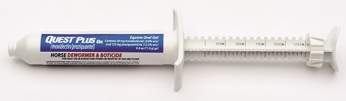 Quest Plus Gel Vet Package Each By Zoetis