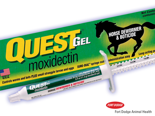 Quikclean Waterless Shampoo 8 oz By Zoetis