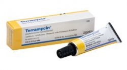 Terramycin Ophthalmic Ointment 1/8 oz Tube By Zoetis RX ITEM