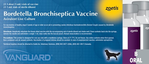 Vanguard B Oral - 25 X1-Dose B25 By Zoetis